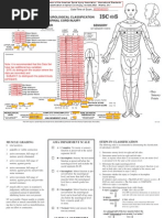 Asia Scale | PDF | Anatomical Terms Of Motion | Spinal Cord Injury