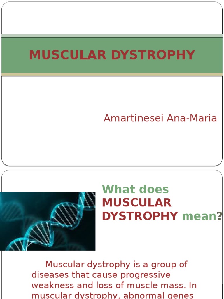 Muscular Dystrophy: Amartinesei Ana-Maria | PDF | Muscular Dystrophy ...
