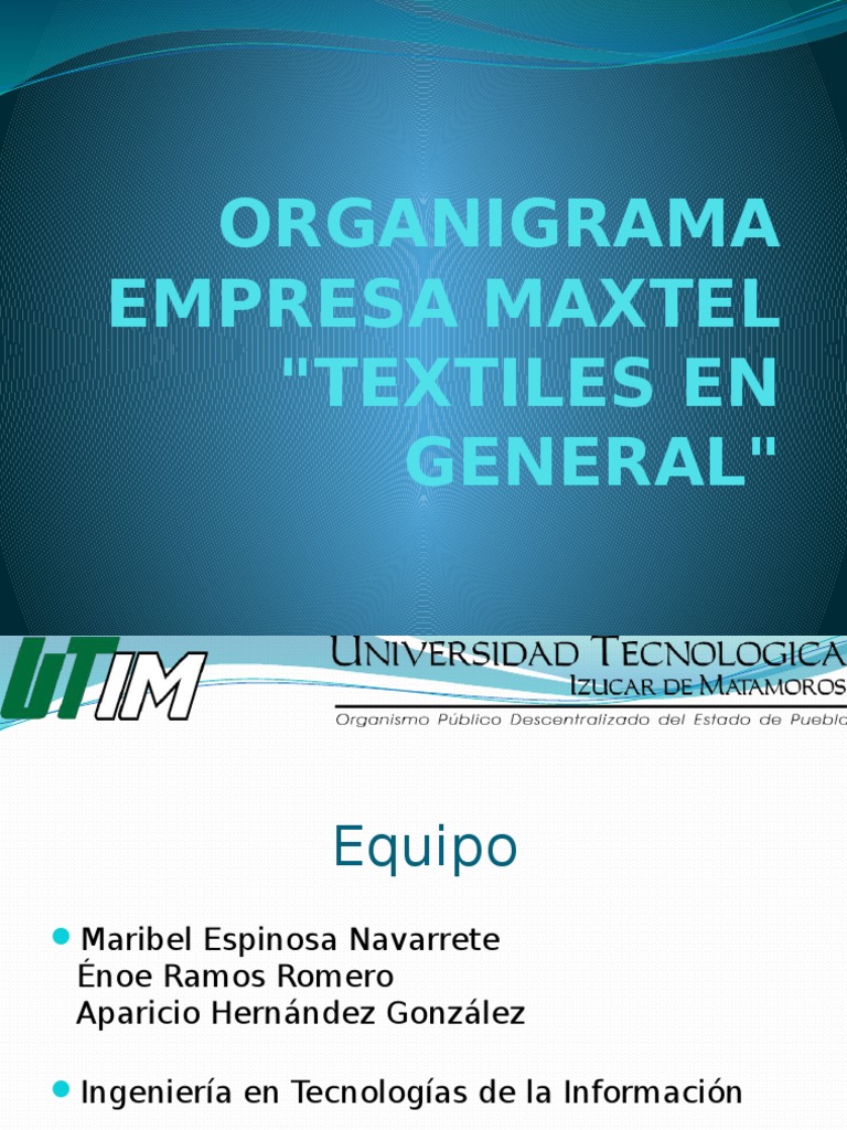 Organigrama de la Empresa Maxtel | PDF | Presupuesto | Contabilidad