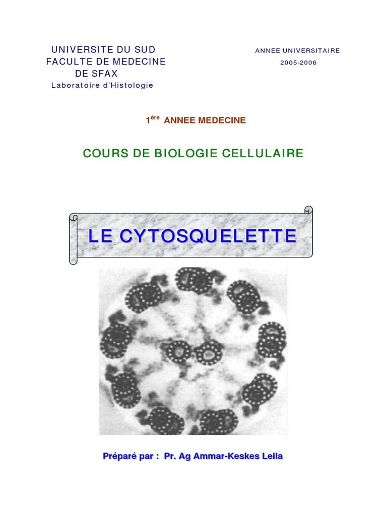 Rôle et structure du cytosquelette | PDF | Microtubule | Cellule (Biologie)
