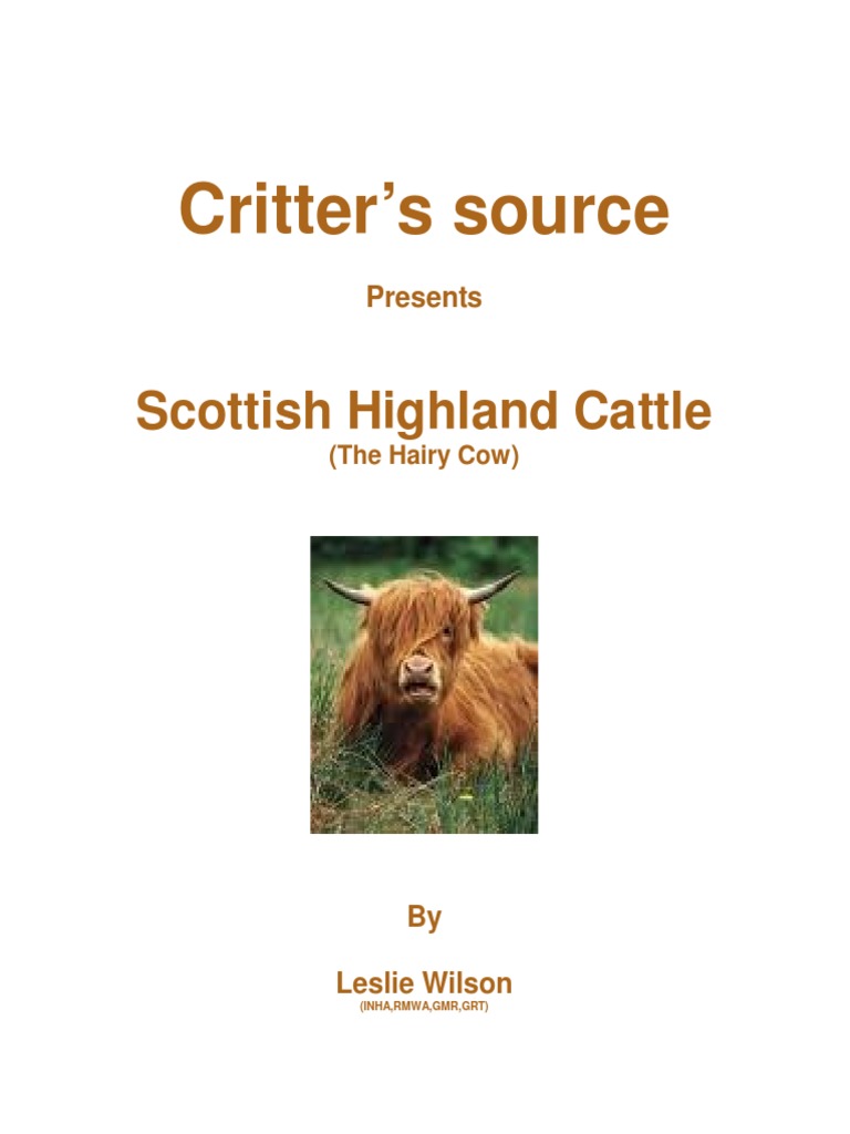 Highland Cattle | PDF | Mother Goddess | Cattle