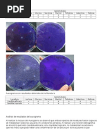 Pruebas Bioquimicas para Enterobacterias | PDF | Química | Las bacterias