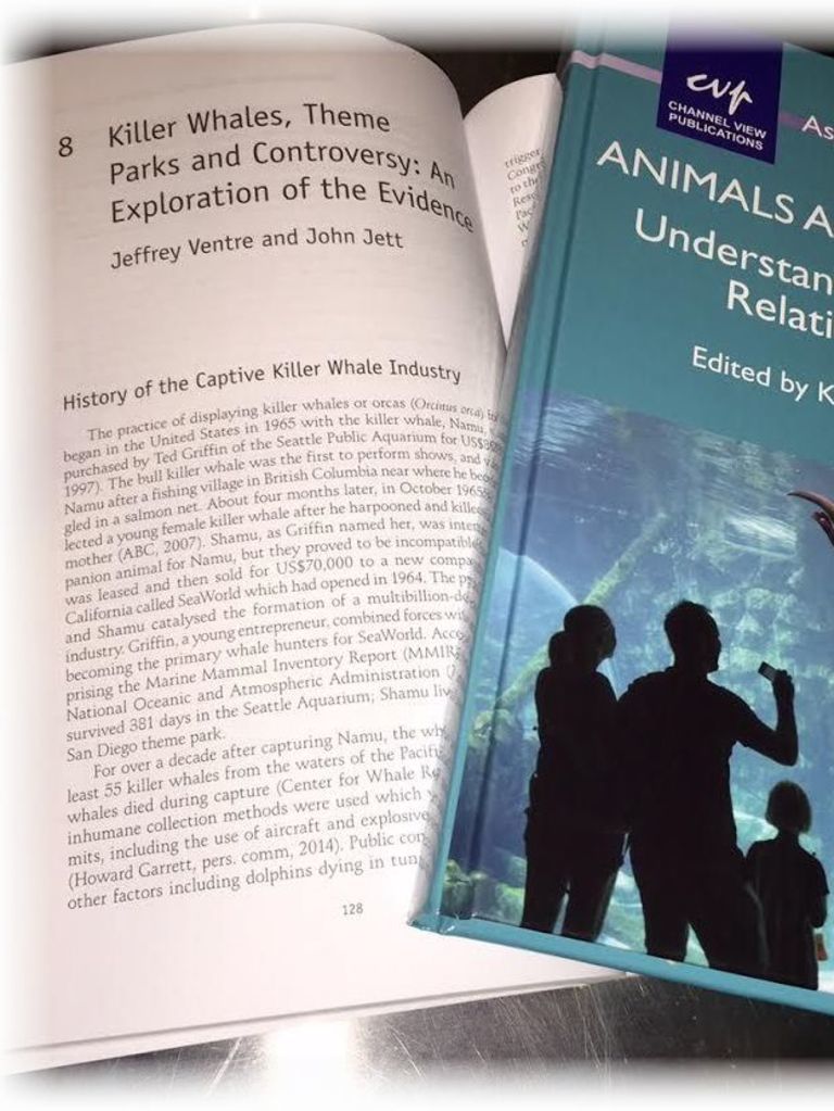 Killer Whales, Theme Parks & Controversy, An Exploration of The ...