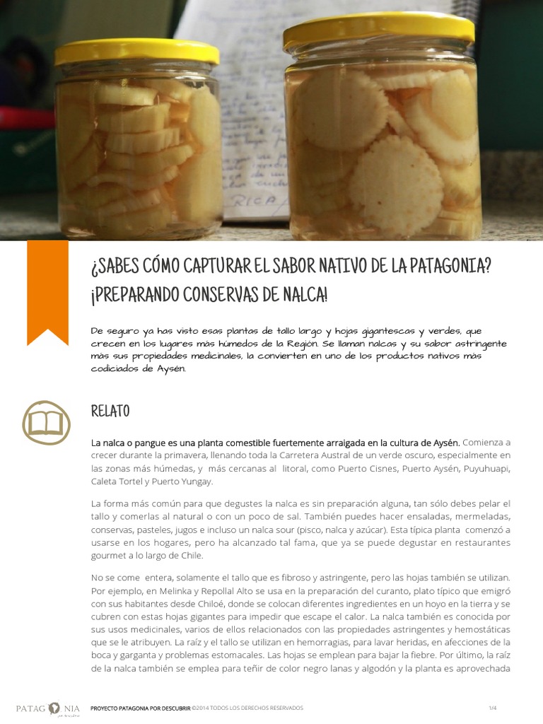 Sabes Como Capturar El Sabor Nativo de La Patagonia Preparando ...
