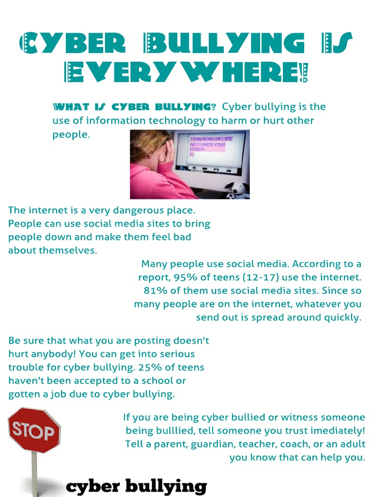 Understanding Cyberbullying Risks | PDF