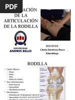 Liberacion Retinaculo Rodilla | PDF | Rodilla | Sistema musculoesquelético
