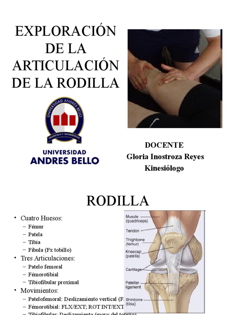 Exploración de la Articulación de Rodilla | PDF | Rodilla | Anatomía ...