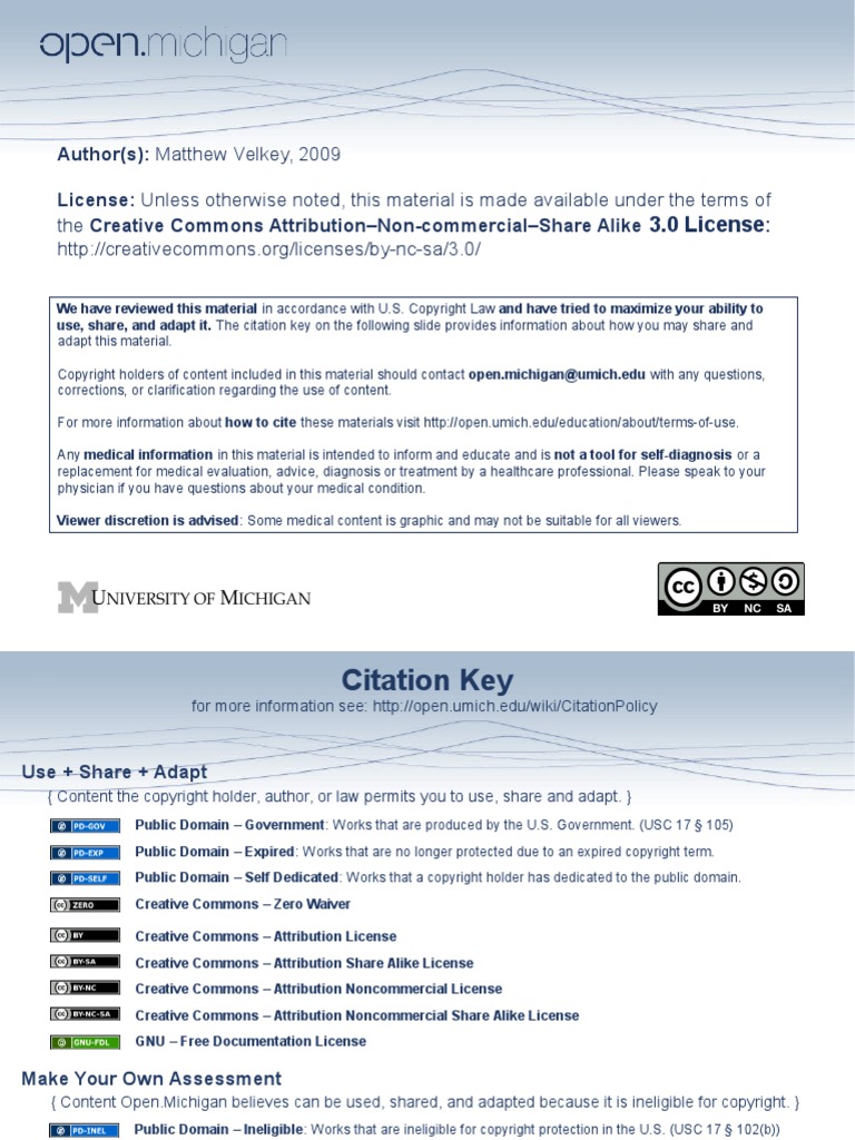 Lymphatic System Histology Pdf Lymph Node Lymphatic System