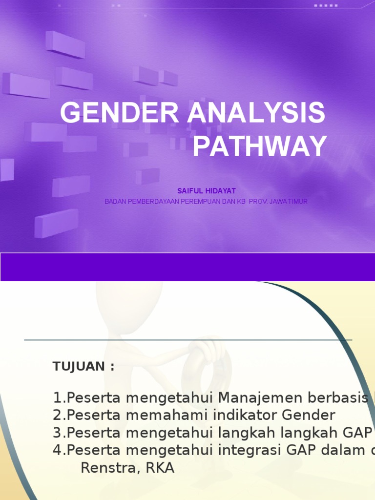 Gender Analysis Pathway | PDF