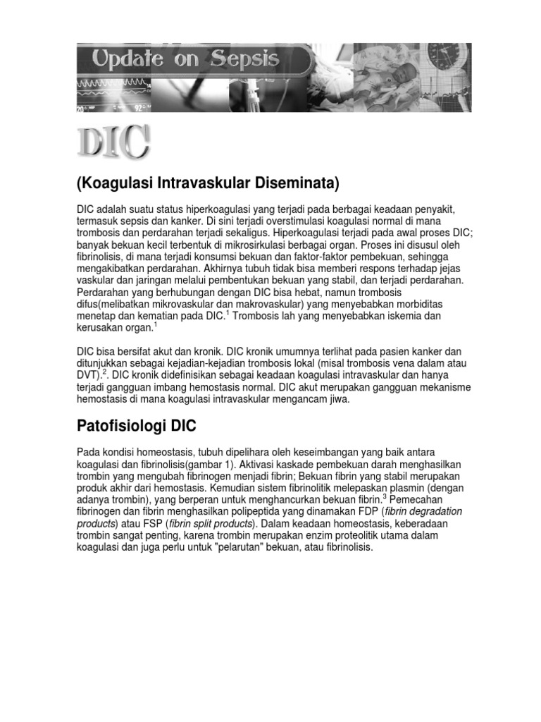 Dic | PDF