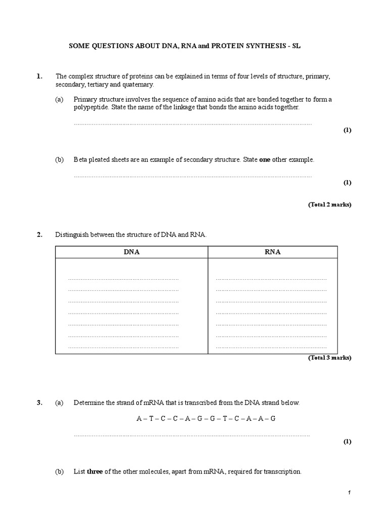 Protein Structure and Synthesis Questions | PDF | Science & Mathematics