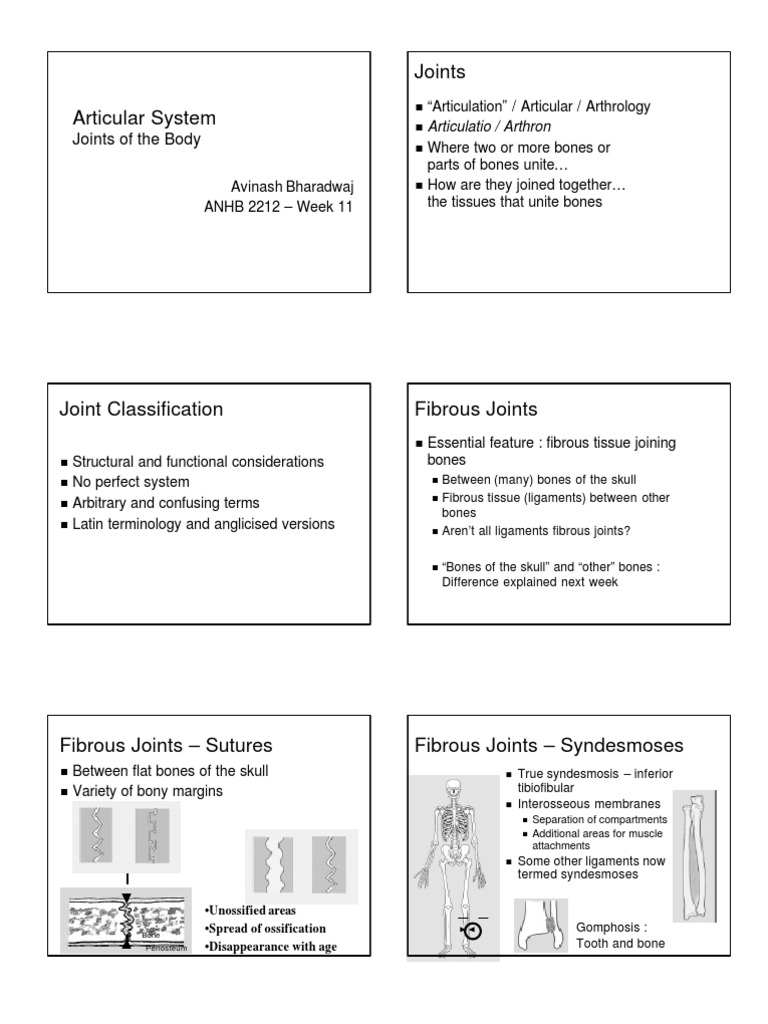 Types of Joints and Their Functions | PDF | Joint | Cartilage