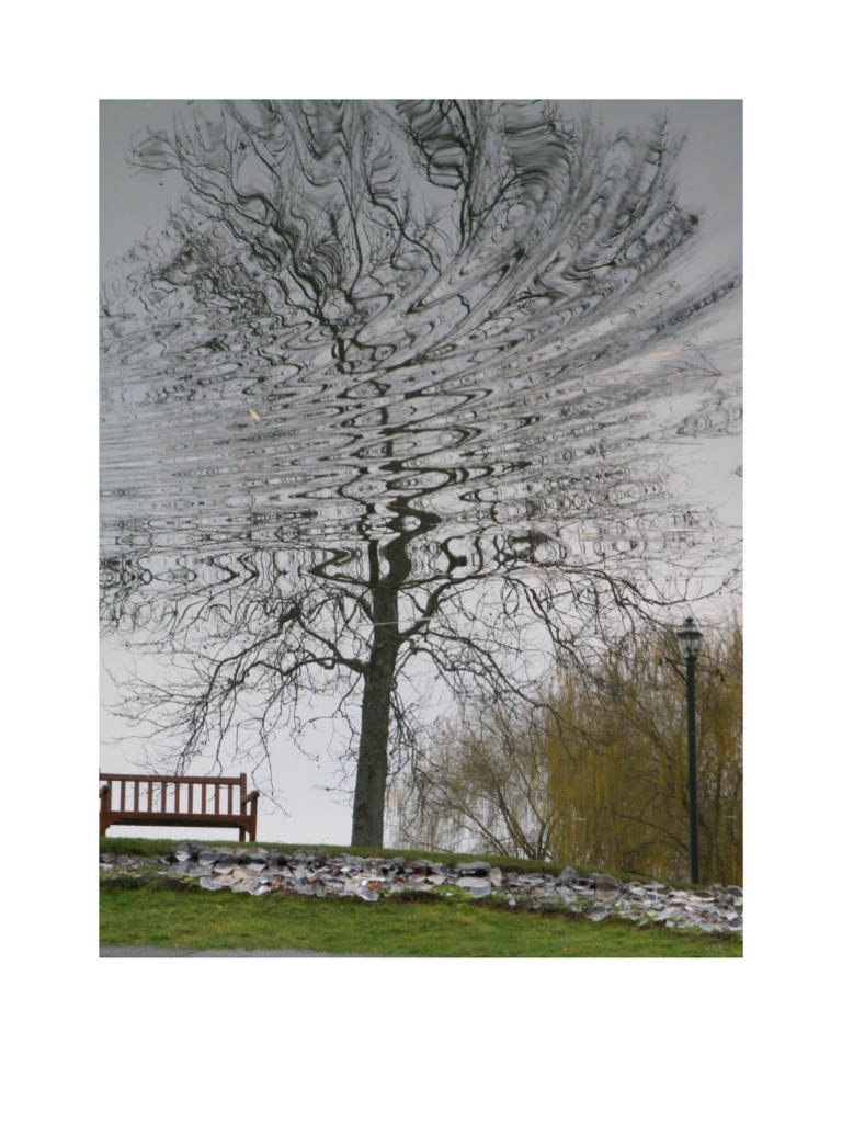 Shimmer Tree | PDF