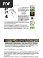 JIN SHIN JYUTSU Apertura 26 Cierres de Seguridad | PDF | Violencia | Agitación