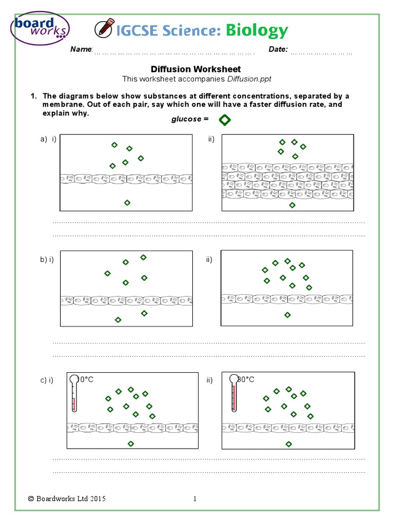 Boardworks Diffusion Worksheet | PDF