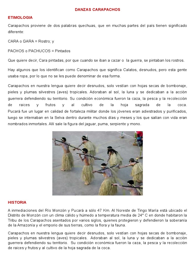 Danzas Carapachos | PDF | Caza | Aves