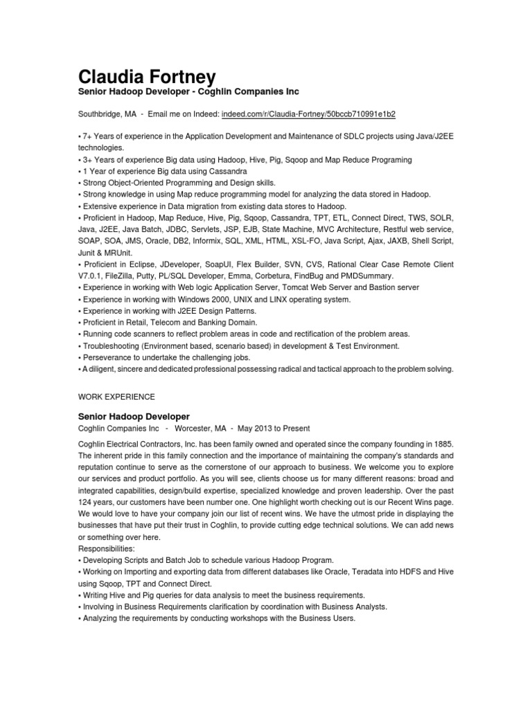 Leveraging Over a Decade of Experience in Java Development, Big Data ...