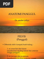 Bidang Hodge Bidang Penurunan Kepala Janin | PDF