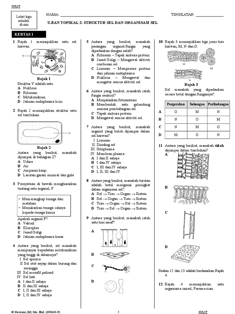 IT Bio F4 Topical Test 2 M | PDF