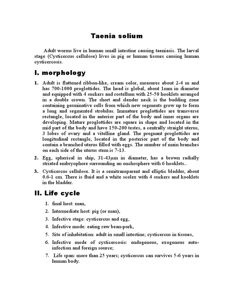 Taenia solium and Cysticercosis | PDF | Animal Diseases | Parasites