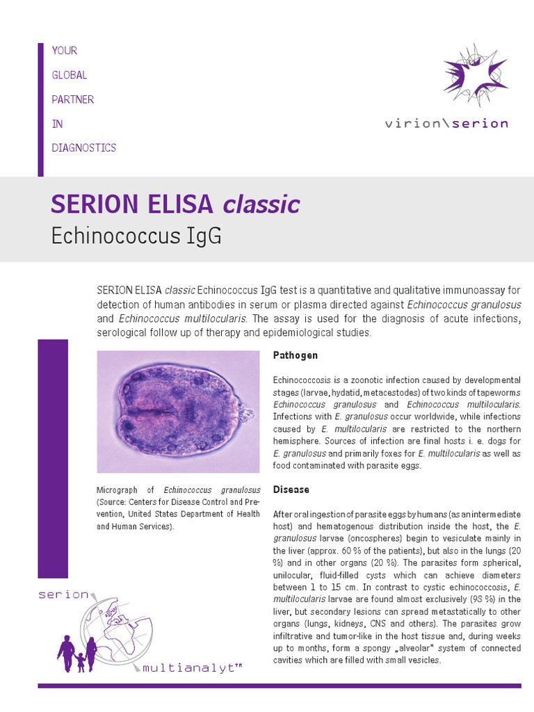 Flyer Elisa Classic Echinococcus Eng v1 | PDF | Pathology | Epidemiology