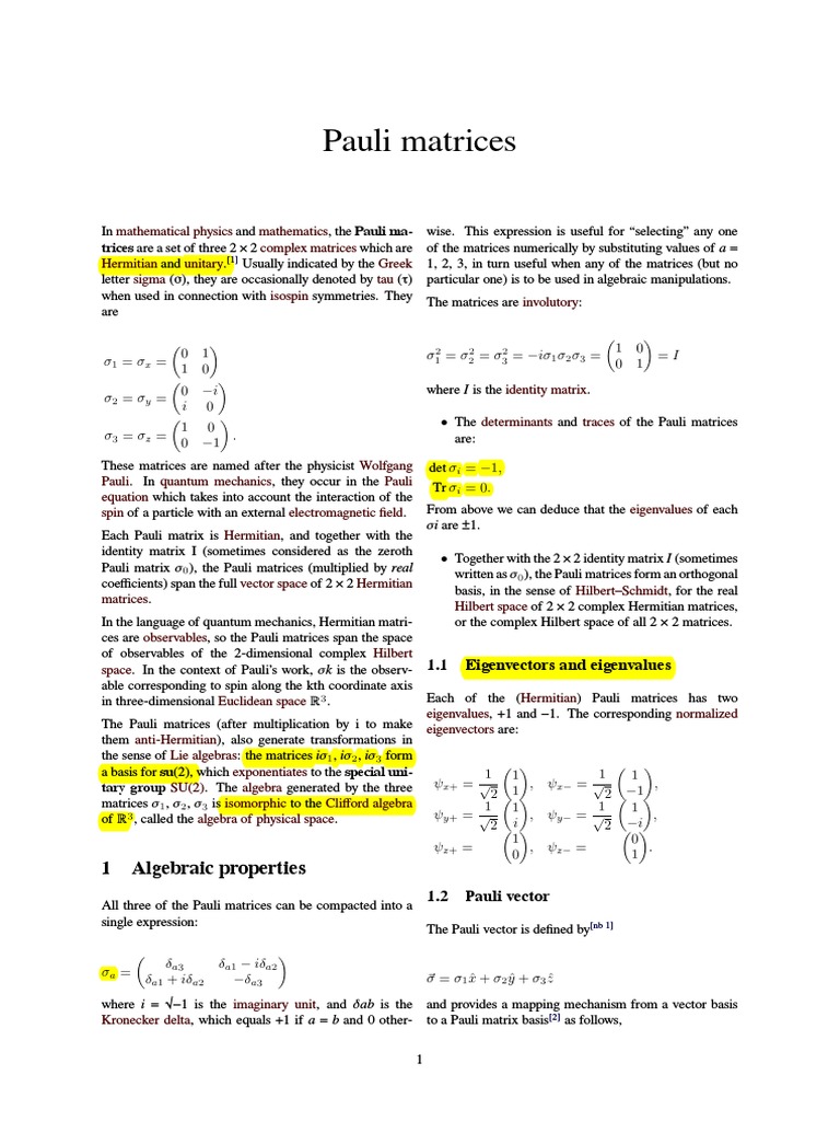 Pauli Matrices: 1 Algebraic Properties | PDF | Spin (Physics) | Linear ...