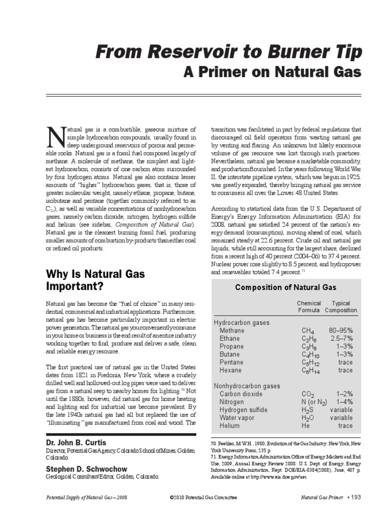 Natural Gas Delivery-From Reservoir To Burner Tip 16 Pages | PDF ...
