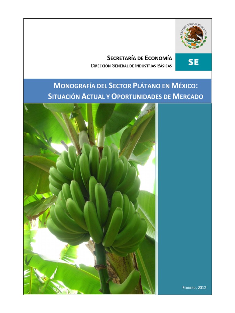 Chocheco: Plátano en México y su mercado | PDF