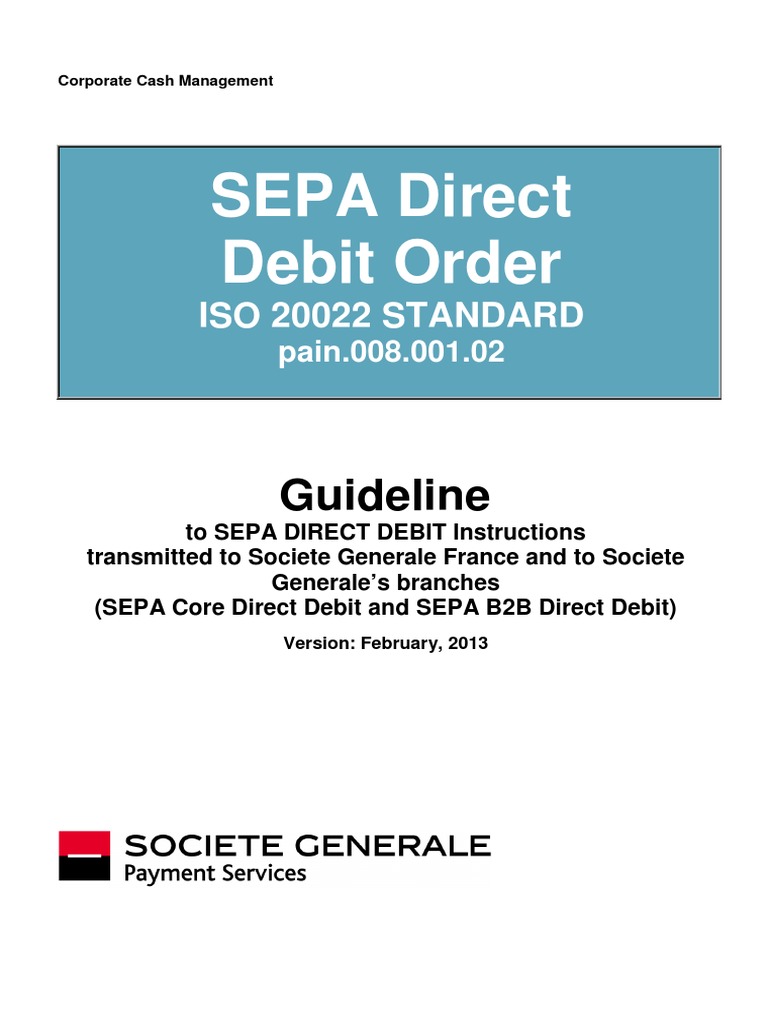 TECH - LEAFLET Guideline SG ISO20022 SEPA Direct Debit Branches | PDF ...