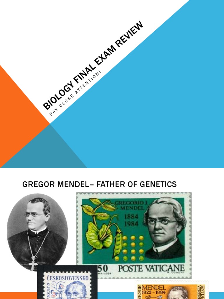 Biology Semester 2 Final Exam Review | PDF | Translation (Biology) | Dna