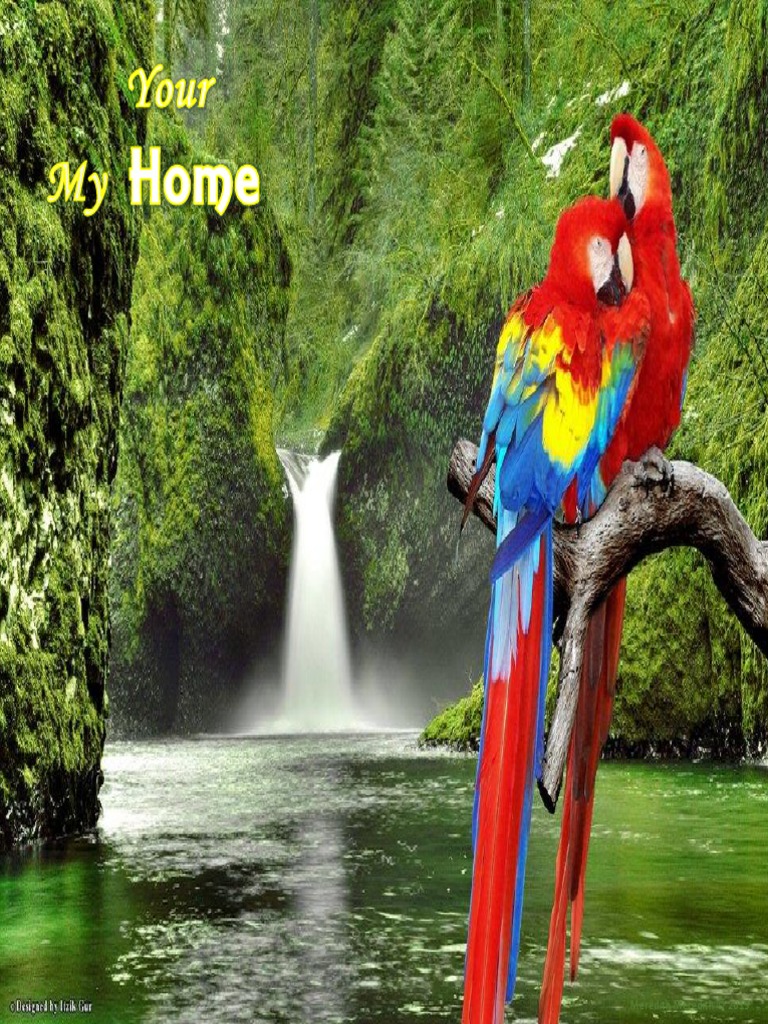 Your Home | PDF