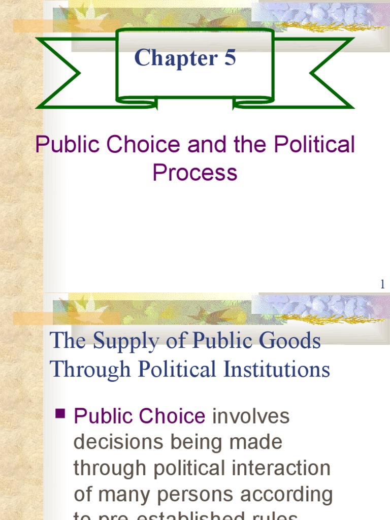 Public Choice and Political Equilibrium | PDF | Voting | Taxes