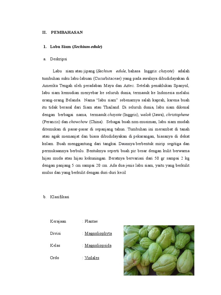 Manfaat dan Khasiat Labu Siam | PDF