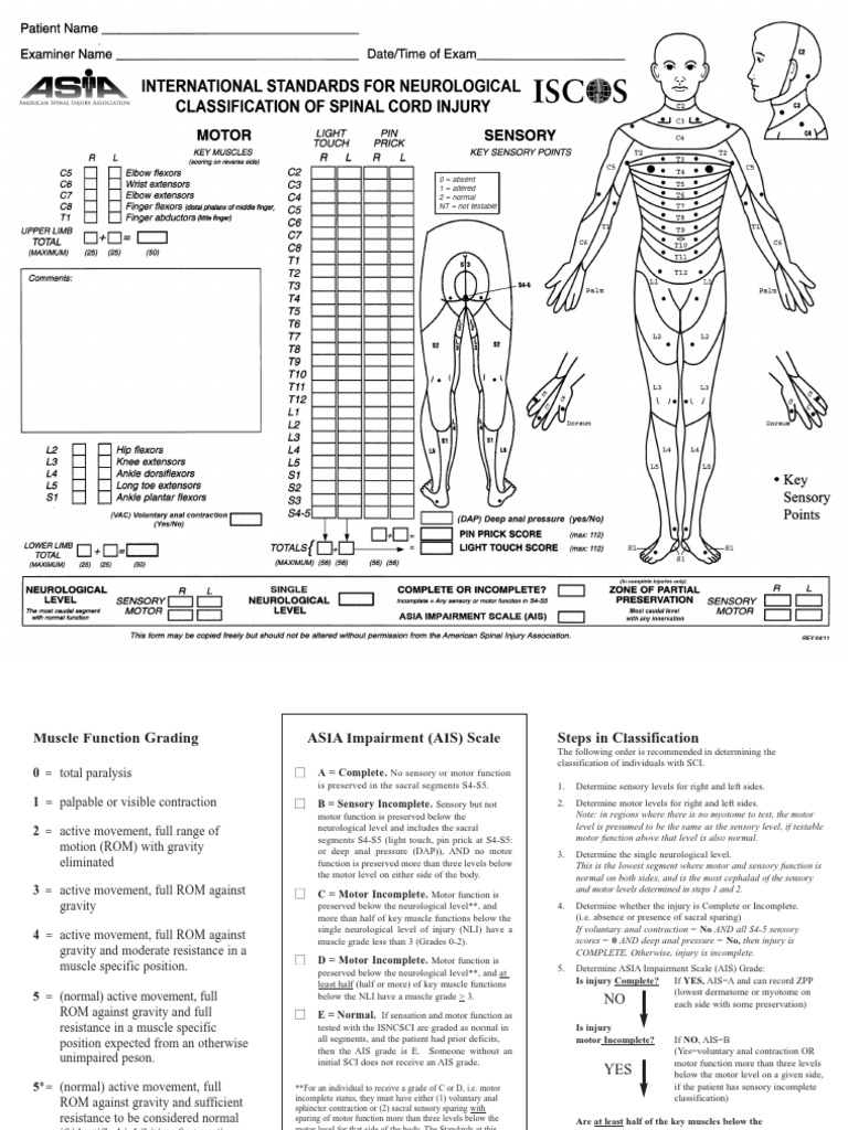 ASIA Score | Motor Control | Senses