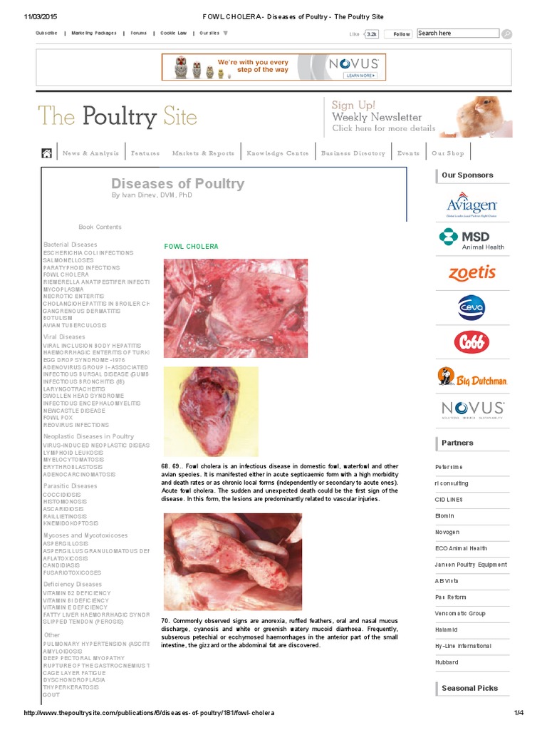 FOWL CHOLERA - Diseases of Poultry - The Poultry Site | Microbiology ...