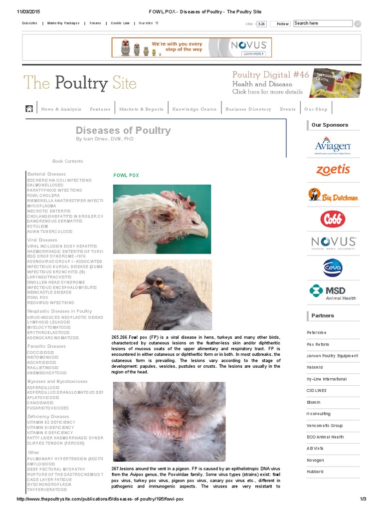 FOWL POX - Diseases of Poultry - The Poultry Site | PDF | Poultry ...