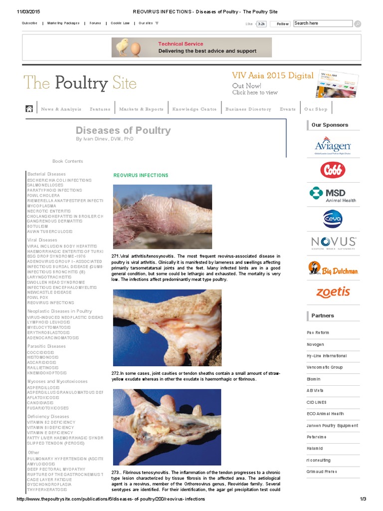 Causes, Symptoms - Diseases of Poultry - The Poultry Site | Broiler ...