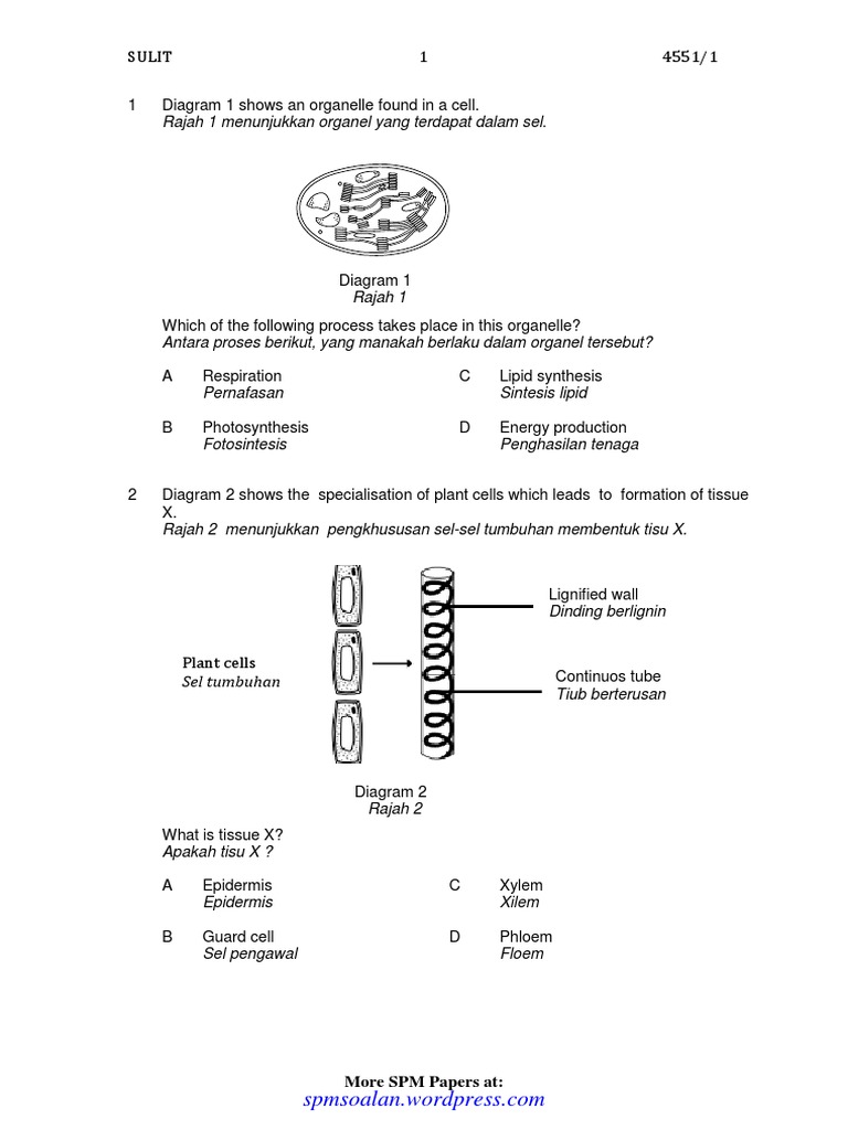 (Spmsoalan) Soalan K1 Biology Tengah Tahun Kedah 2014 | PDF