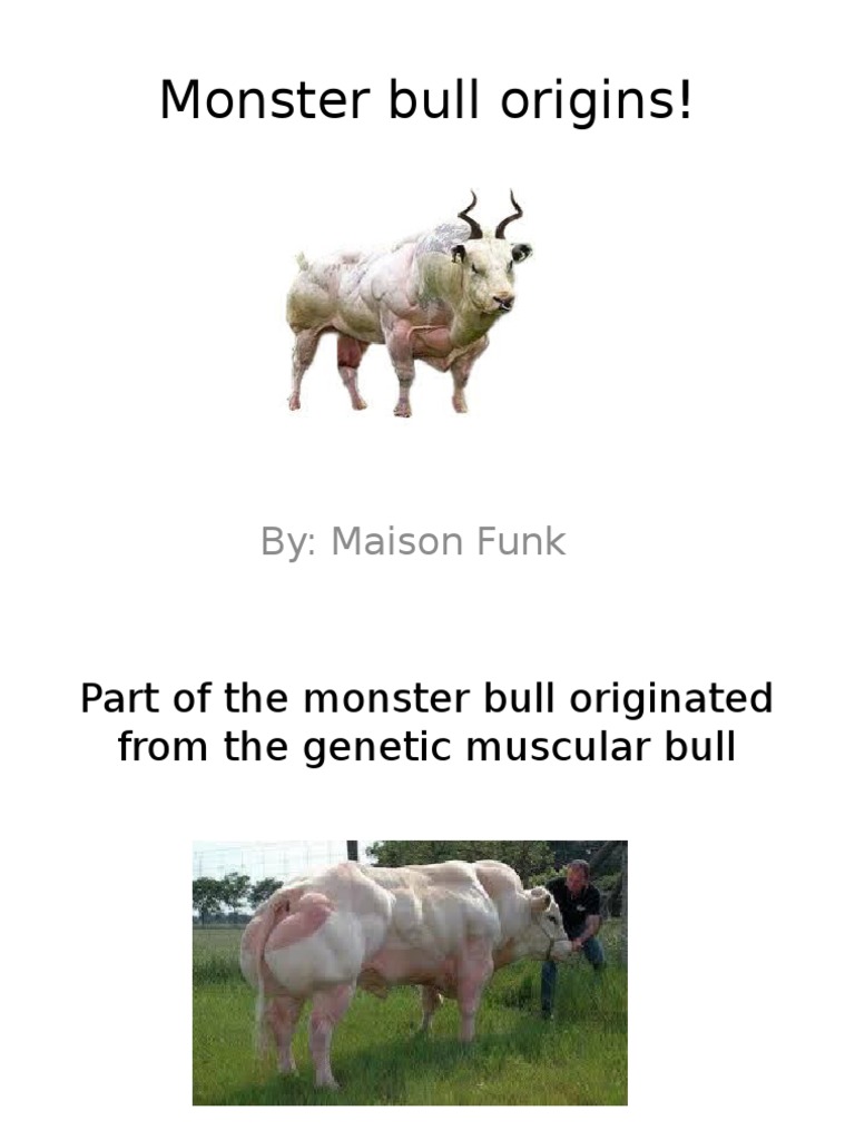 Monster Bull Genetic Origins | PDF