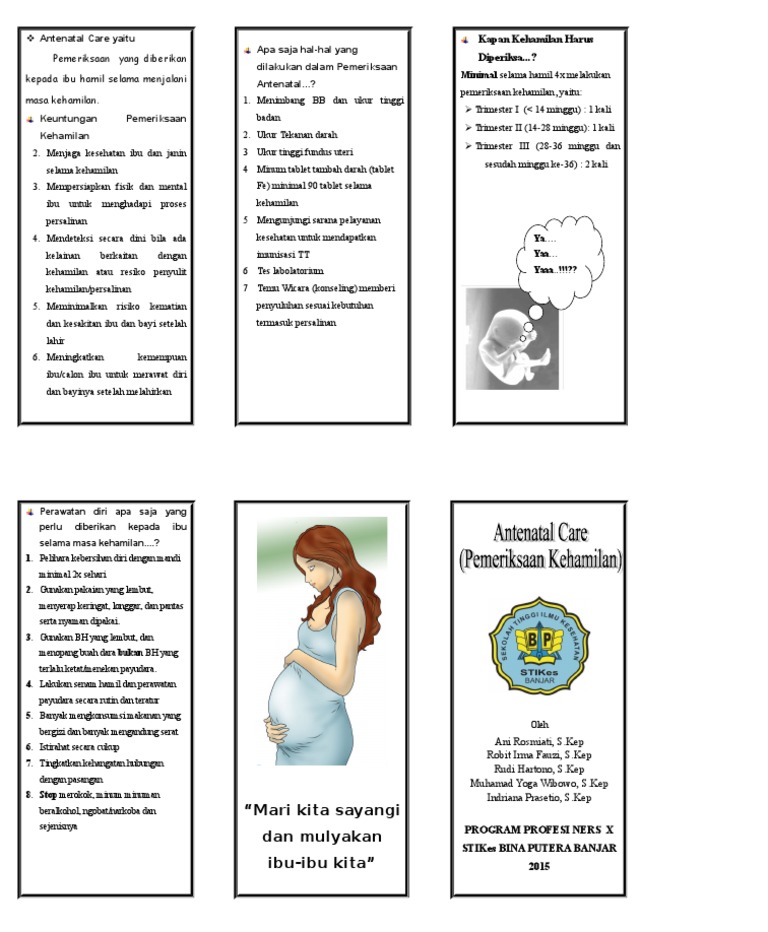 Leaflet Antenatal Care | PDF