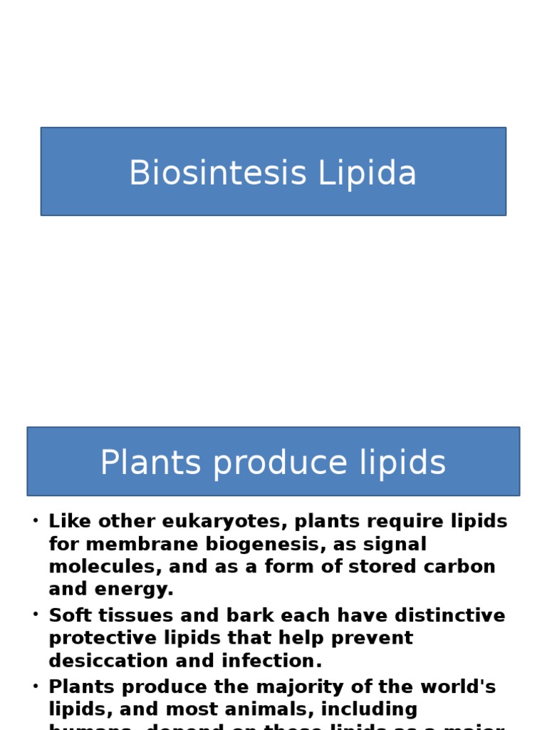 Biosintesis Lipida pada Tanaman | PDF | Lipid | Biosynthesis