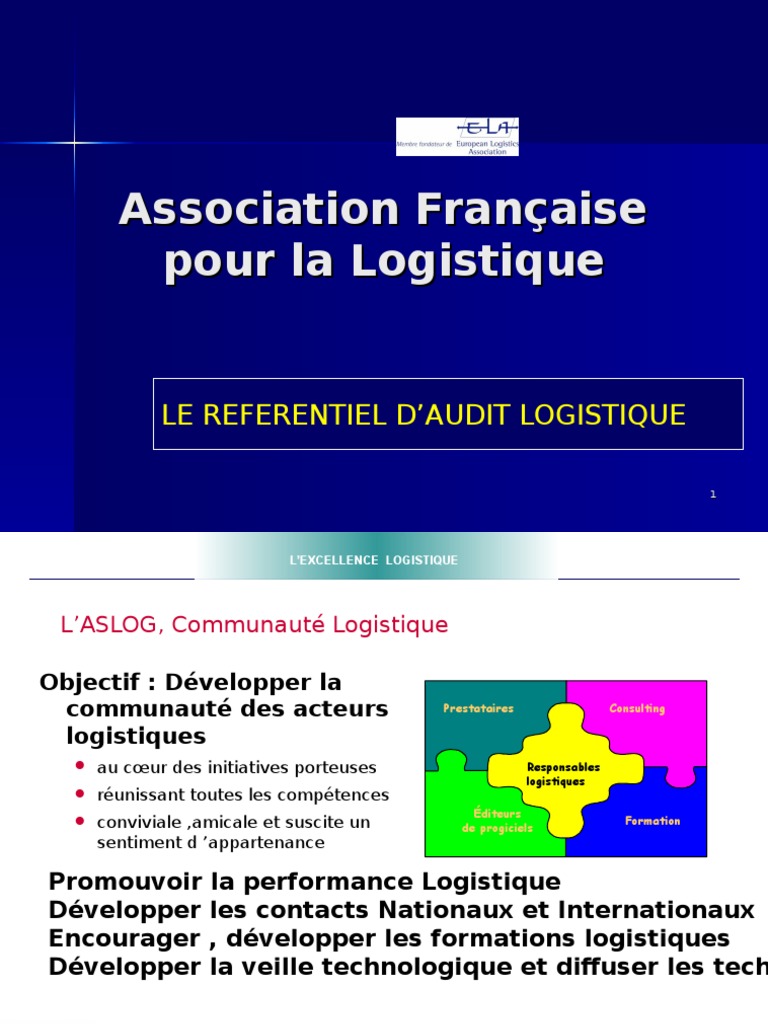Audit Logistique | PDF | Audit | Logistique