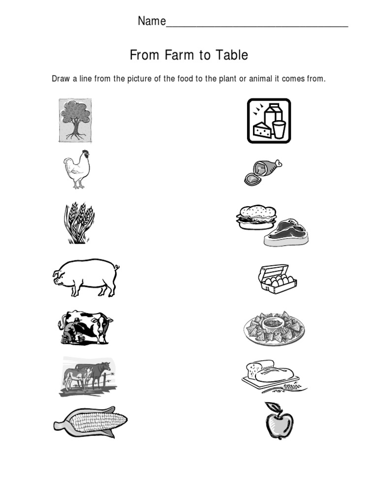 Farm to Table Food Connections Activity | PDF