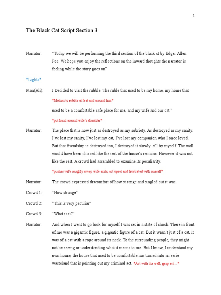 The Black Cat Final Script | PDF | Cats