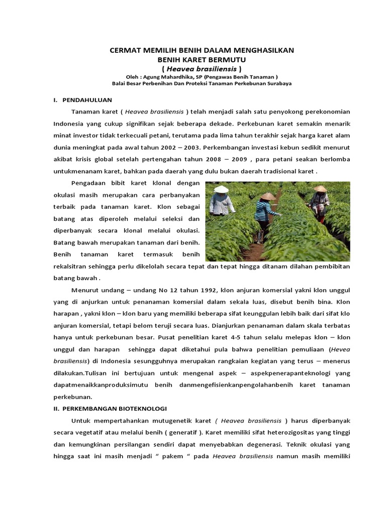 Mutu Benih Karet PDF | PDF