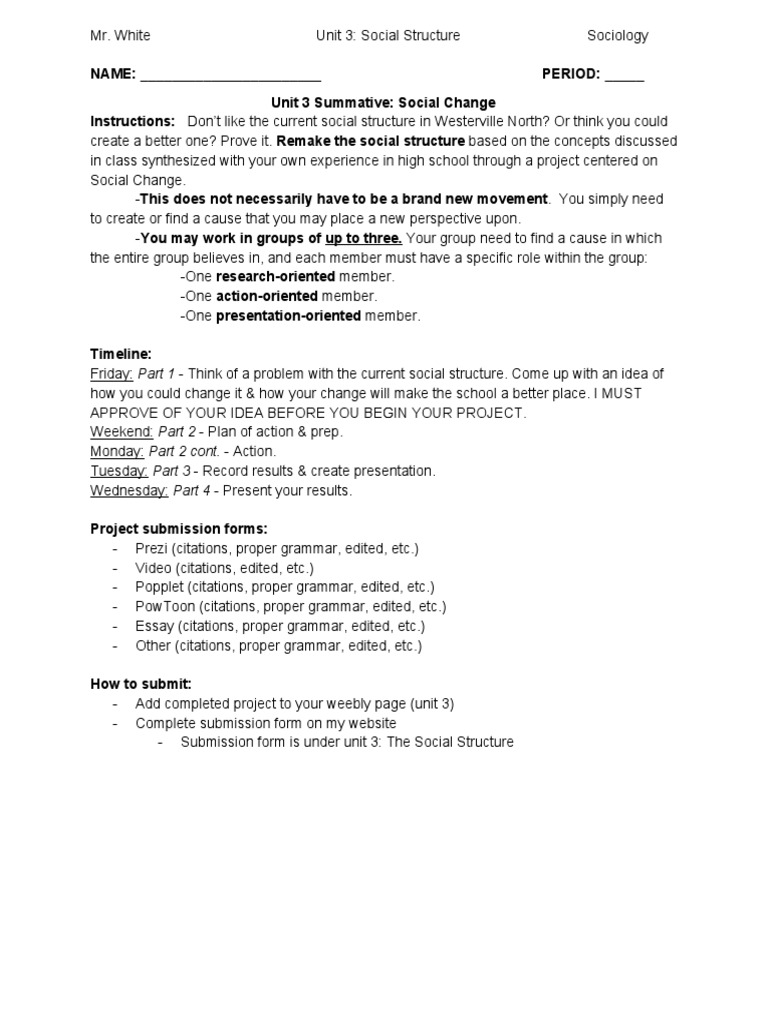 Social Change Project Guidelines | PDF | Martin Luther King Jr ...