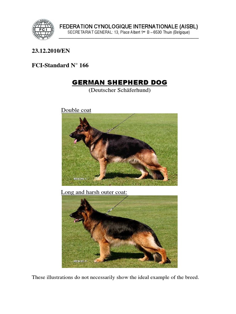 Standard GSD | PDF | German Shepherd | Herding Dogs