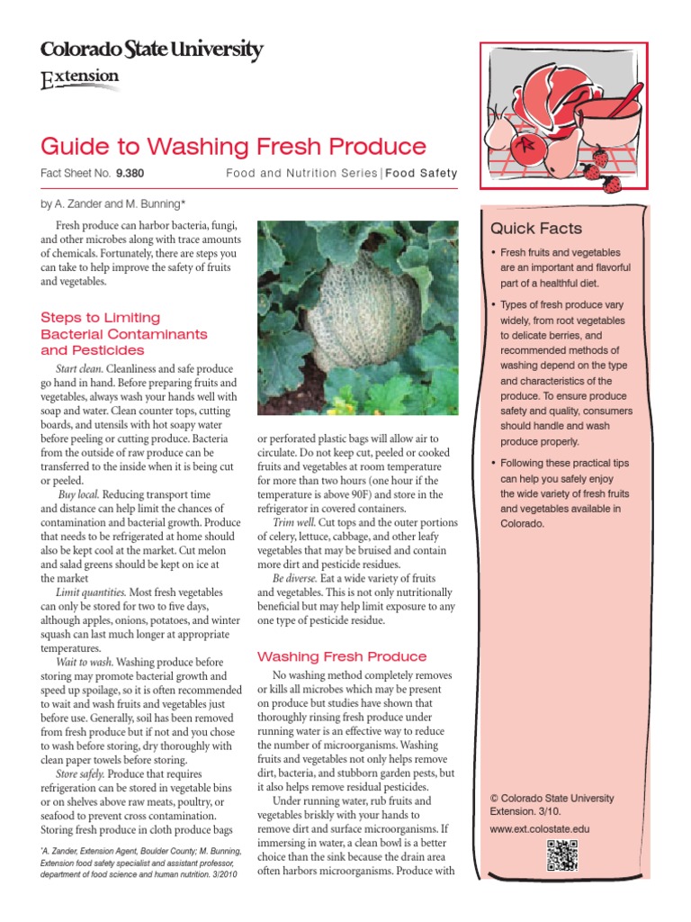Guide To Washing Fresh Produce | PDF | Vegetables | Fruit
