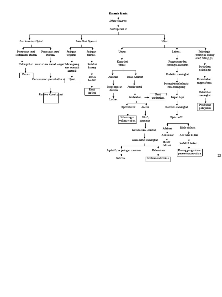 Pathway | PDF | Kesehatan Holistik