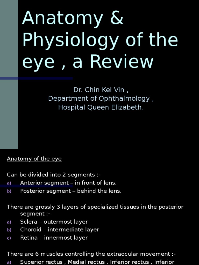 Anatomy & Physiology of The Eye, A Review | PDF